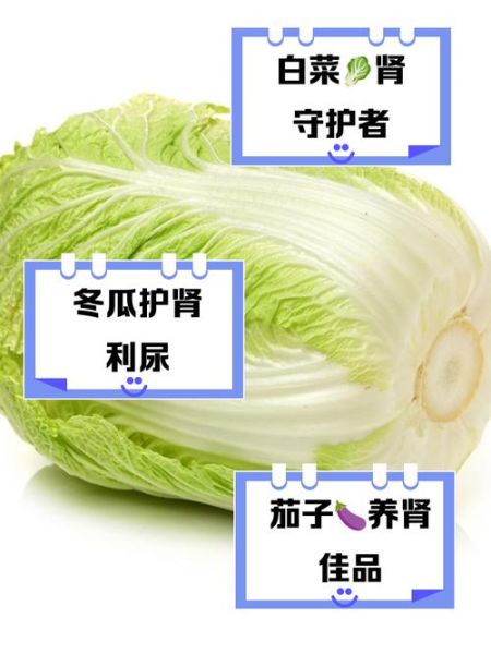 补肾蔬菜有哪些_补肾蔬菜排行榜10强-第3张图片-山城妙识