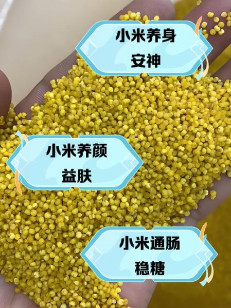 小米的营养价值及功效与作用_小米适合什么人吃-第2张图片-山城妙识