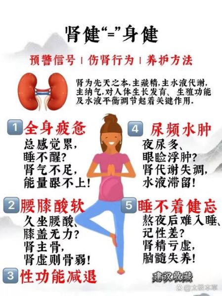 肾气开始恢复的征兆_如何判断肾气恢复-第3张图片-山城妙识 肾气开始恢复的征兆_如何判断肾气恢复-第3张图片-山城妙识