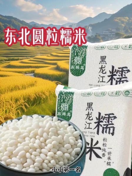 圆江米是什么米_圆江米和糯米一样吗-第3张图片-山城妙识
