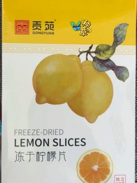 干柠檬片的功效与作用_干柠檬片泡水有什么好处-第3张图片-山城妙识 干柠檬片的功效与作用_干柠檬片泡水有什么好处-第3张图片-山城妙识