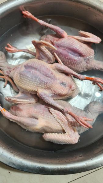 红烧鸽子肉怎么做好吃_家常红烧鸽子肉的做法-第3张图片-山城妙识