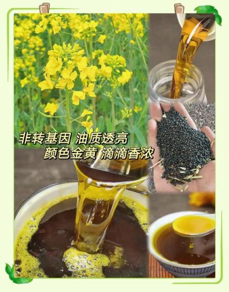 菜籽油的功效与禁忌_适合哪些人群-第2张图片-山城妙识