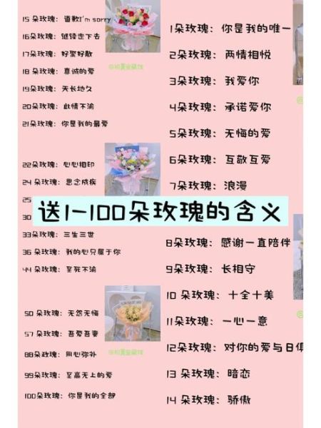 玫瑰花语1到100朵含义_送多少朵最合适-第2张图片-山城妙识