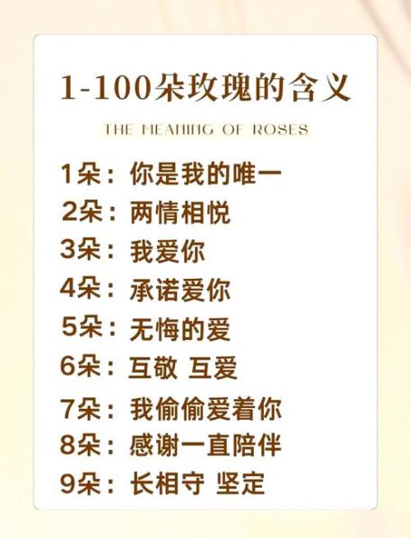 玫瑰花语1到100朵含义_送多少朵最合适-第1张图片-山城妙识