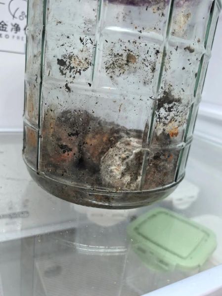 咸鸭蛋保质期6个月过了还能吃吗_如何判断是否变质-第1张图片-山城妙识