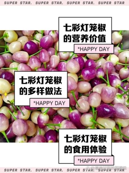 灯笼椒怎么炒好吃_灯笼椒的做法大全-第1张图片-山城妙识 灯笼椒怎么炒好吃_灯笼椒的做法大全-第1张图片-山城妙识