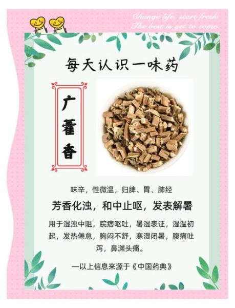 广藿香的功效与作用_广藿香能治疗哪些疾病-第1张图片-山城妙识 广藿香的功效与作用_广藿香能治疗哪些疾病-第1张图片-山城妙识
