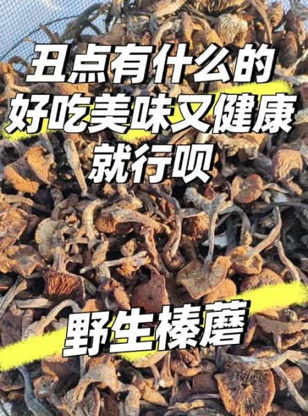 榛蘑怎么做好吃_榛蘑的做法大全家常-第1张图片-山城妙识