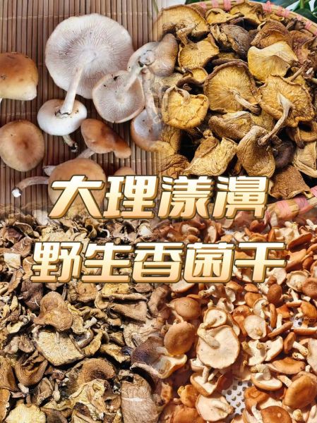 云南特产干货有哪些值得买_云南干货怎么保存-第2张图片-山城妙识 云南特产干货有哪些值得买_云南干货怎么保存-第2张图片-山城妙识