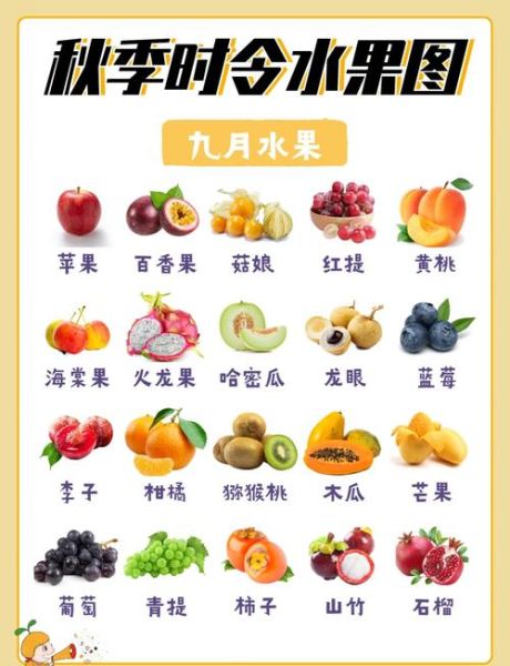 现在应季水果有哪些_如何挑选最新鲜的应季水果-第1张图片-山城妙识 现在应季水果有哪些_如何挑选最新鲜的应季水果-第1张图片-山城妙识