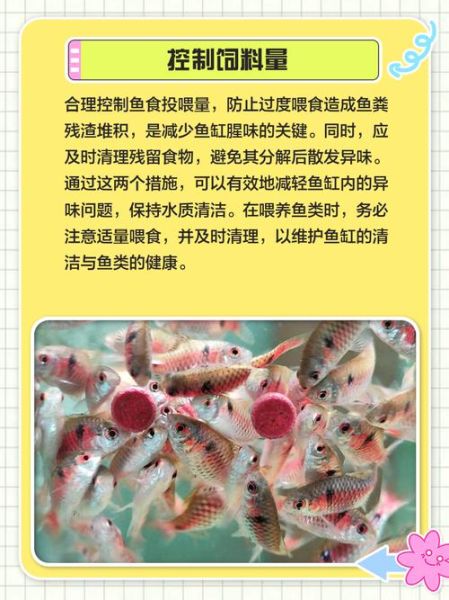 做鱼怎么去腥味效果好_鱼腥味怎么去除最彻底-第2张图片-山城妙识