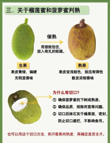 榴莲怎么吃图解_榴莲吃法步骤-第3张图片-山城妙识 榴莲怎么吃图解_榴莲吃法步骤-第3张图片-山城妙识