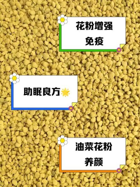 油菜花粉的副作用有哪些_什么人不能吃油菜花粉-第2张图片-山城妙识