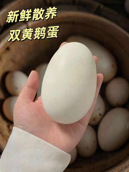 鹅蛋怎么保存不会坏_鹅蛋可以放多久-第1张图片-山城妙识