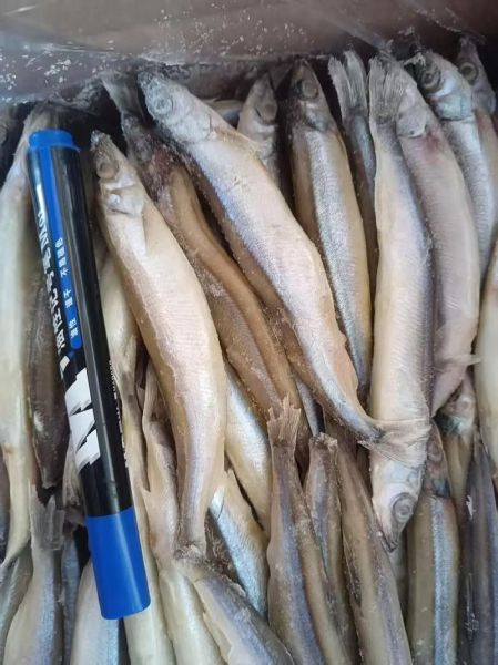 多春鱼的营养价值_孕妇能吃吗-第3张图片-山城妙识