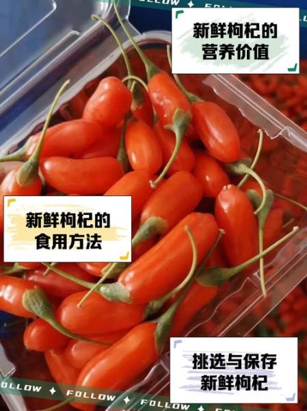 新鲜枸杞子的功效与作用_怎么吃效果最好-第2张图片-山城妙识