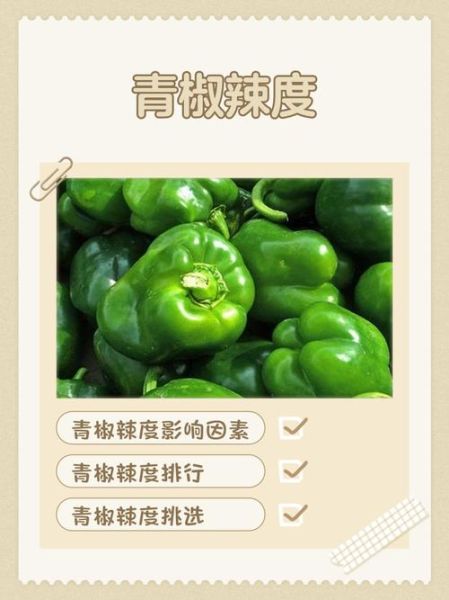 尖椒辣吗_尖椒辣度排行-第1张图片-山城妙识