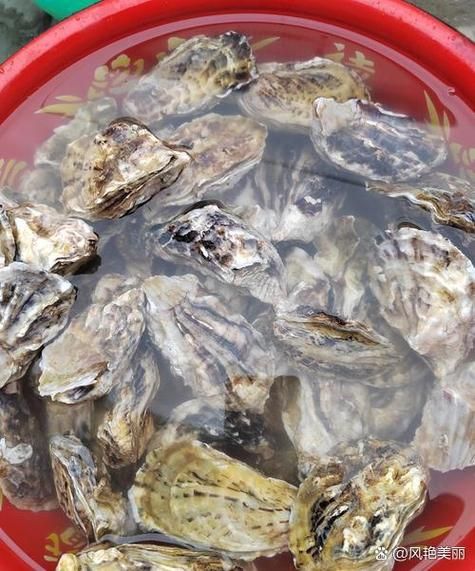 扇贝怎么清洗_扇贝蒸几分钟才熟-第3张图片-山城妙识 扇贝怎么清洗_扇贝蒸几分钟才熟-第3张图片-山城妙识