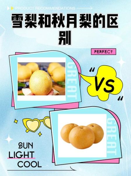 哪种梨子适合炖冰糖_雪梨还是秋月梨-第2张图片-山城妙识