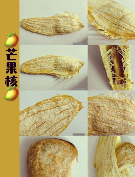 芒果怎么去皮去核_芒果切法图解-第2张图片-山城妙识 芒果怎么去皮去核_芒果切法图解-第2张图片-山城妙识