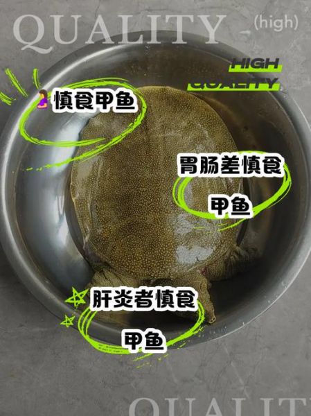 吃野生甲鱼的禁忌_哪些人不能吃野生甲鱼-第1张图片-山城妙识 吃野生甲鱼的禁忌_哪些人不能吃野生甲鱼-第1张图片-山城妙识