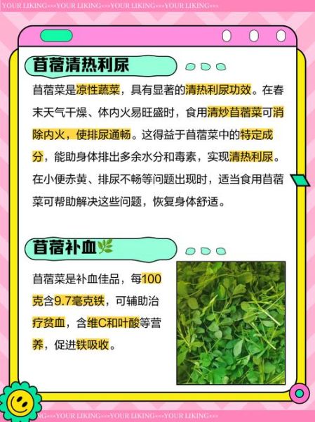 吃苜蓿菜有什么好处_苜蓿菜的功效与作用-第1张图片-山城妙识 吃苜蓿菜有什么好处_苜蓿菜的功效与作用-第1张图片-山城妙识