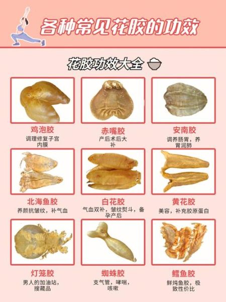 花胶怎么吃最补_花胶的功效与作用有哪些-第3张图片-山城妙识
