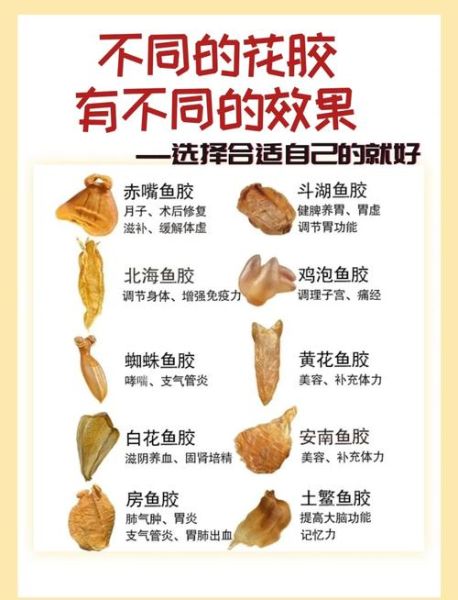 花胶怎么吃最补_花胶的功效与作用有哪些-第1张图片-山城妙识
