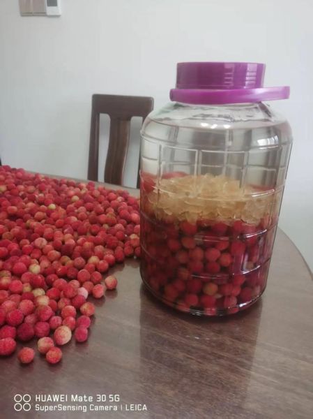 杨梅酒泡多久可以喝_杨梅酒最佳饮用时间-第3张图片-山城妙识 杨梅酒泡多久可以喝_杨梅酒最佳饮用时间-第3张图片-山城妙识