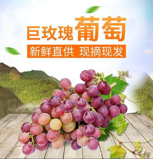 最好吃的提子品种有哪些_巨峰葡萄和阳光玫瑰哪个更甜-第2张图片-山城妙识