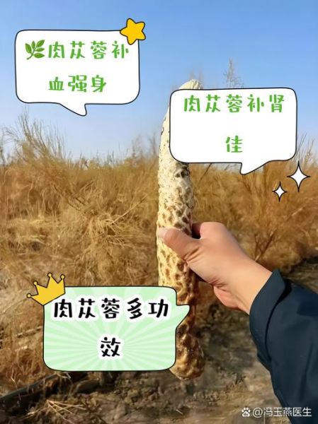 芙蓉肉为什么叫芙蓉_芙蓉肉名字的由来-第1张图片-山城妙识