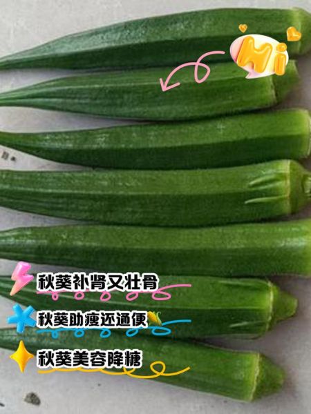秋葵对男性性功能好吗_秋葵男人吃有哪些禁忌-第2张图片-山城妙识