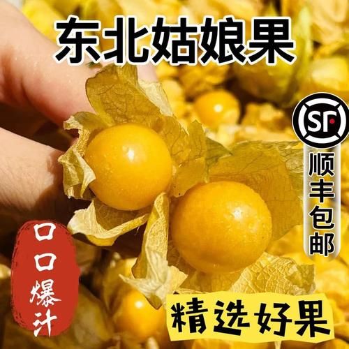 东北特产有哪些水果_东北水果几月份成熟-第3张图片-山城妙识