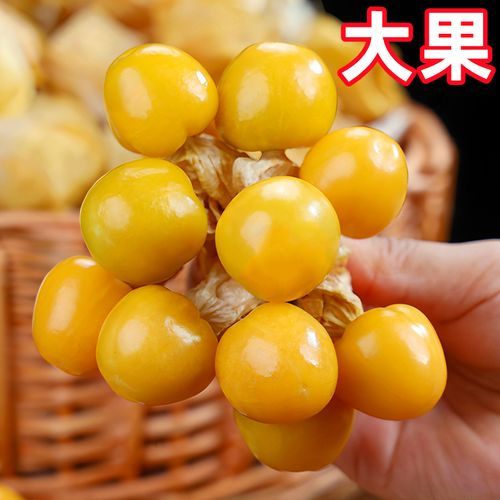 东北特产有哪些水果_东北水果几月份成熟-第2张图片-山城妙识