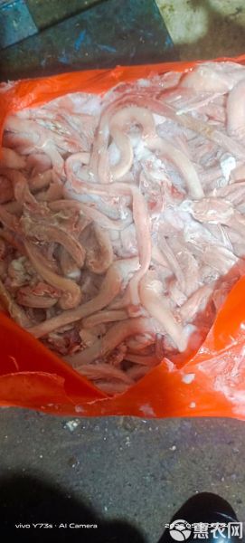 猪小肠里面黄黄的是什么_能吃吗-第1张图片-山城妙识