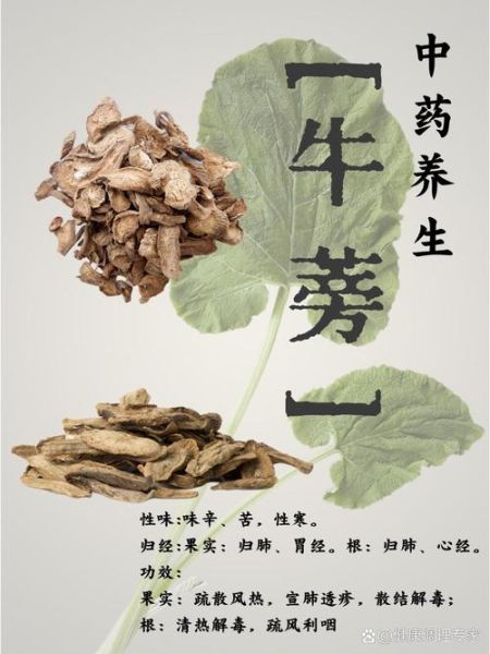 牛蒡怎么吃_牛蒡的功效与作用有哪些-第3张图片-山城妙识