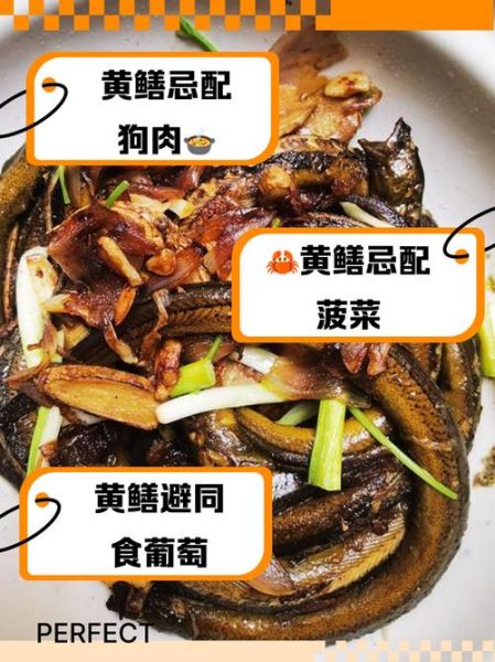 吃鳝鱼禁忌_鳝鱼不能和什么一起吃-第1张图片-山城妙识