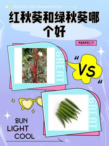 红秋葵和绿秋葵的区别_哪个营养更高-第1张图片-山城妙识