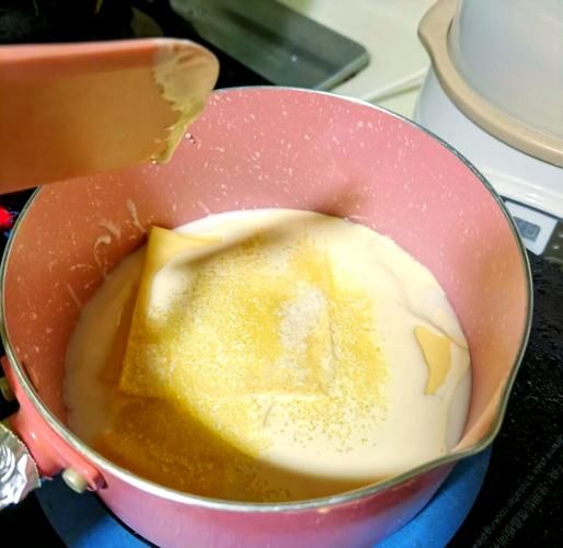 自制奶酪的做法大全_如何在家做奶酪-第2张图片-山城妙识 自制奶酪的做法大全_如何在家做奶酪-第2张图片-山城妙识