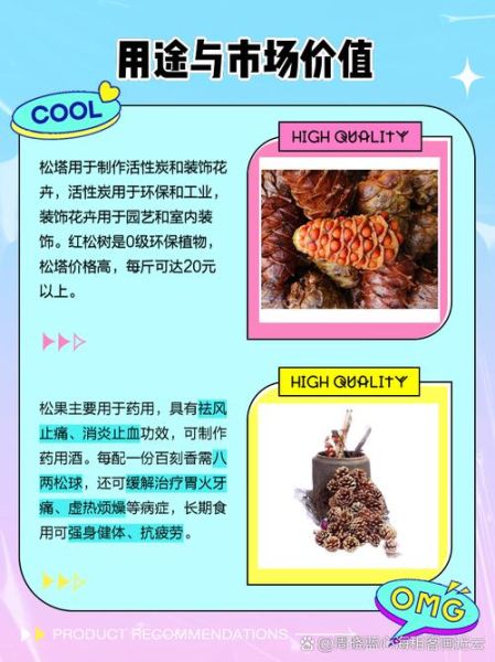 松塔是什么树的果实_松塔和松果的区别-第1张图片-山城妙识