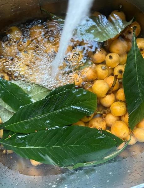 自制枇杷膏怎么做_枇杷膏保存多久-第3张图片-山城妙识