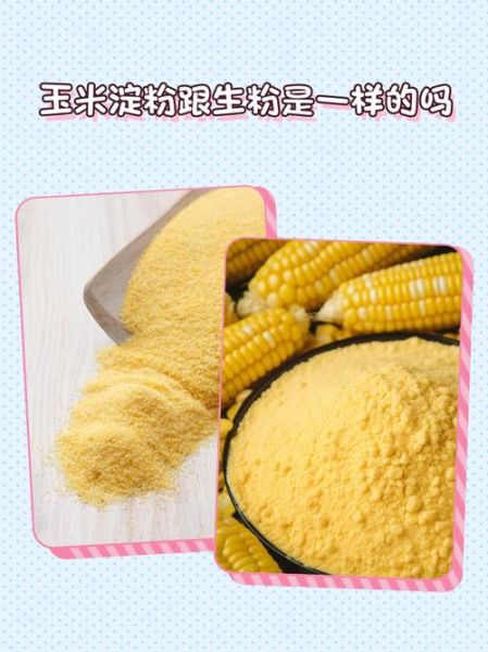 玉米淀粉跟生粉一样吗_生粉可以替代玉米淀粉吗-第1张图片-山城妙识 玉米淀粉跟生粉一样吗_生粉可以替代玉米淀粉吗-第1张图片-山城妙识
