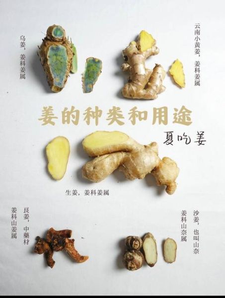 广东沙姜的功效与作用_沙姜怎么吃最养胃-第1张图片-山城妙识