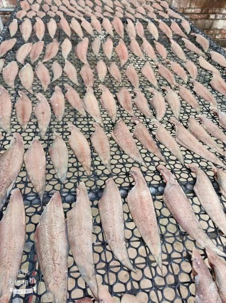 正宗龙利鱼多少钱一斤_龙利鱼价格为什么差异大-第3张图片-山城妙识 正宗龙利鱼多少钱一斤_龙利鱼价格为什么差异大-第3张图片-山城妙识