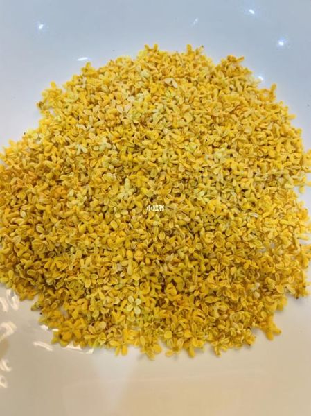 桂花蜜居无竹txt哪里下载_桂花蜜居无竹全文免费阅读-第3张图片-山城妙识 桂花蜜居无竹txt哪里下载_桂花蜜居无竹全文免费阅读-第3张图片-山城妙识