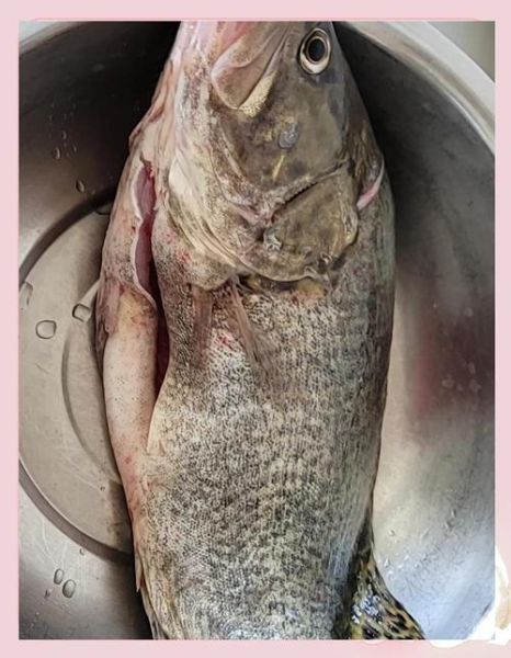 家常烧鳜鱼怎么做_鳜鱼烧多久才入味-第2张图片-山城妙识