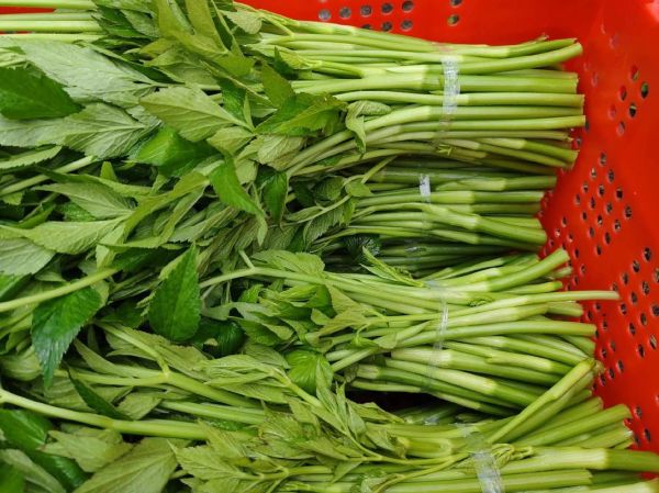 哪些蔬菜可以降血压_高血压吃什么蔬菜好-第3张图片-山城妙识