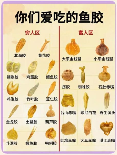 花胶的功效与作用_花胶的正确吃法-第1张图片-山城妙识 花胶的功效与作用_花胶的正确吃法-第1张图片-山城妙识