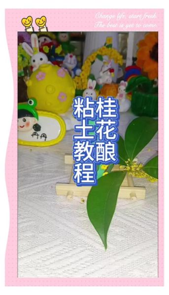 糯米桂花酒怎么做_自制桂花糯米酒步骤-第2张图片-山城妙识